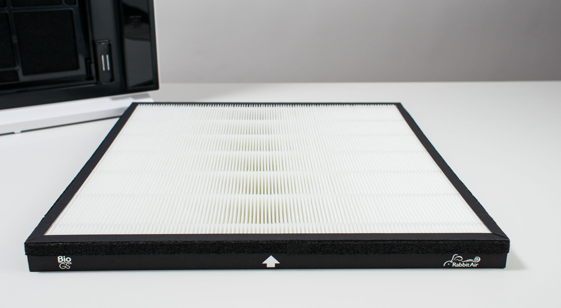 Rabbit Air MinusA2 Review | Is It Worth It?