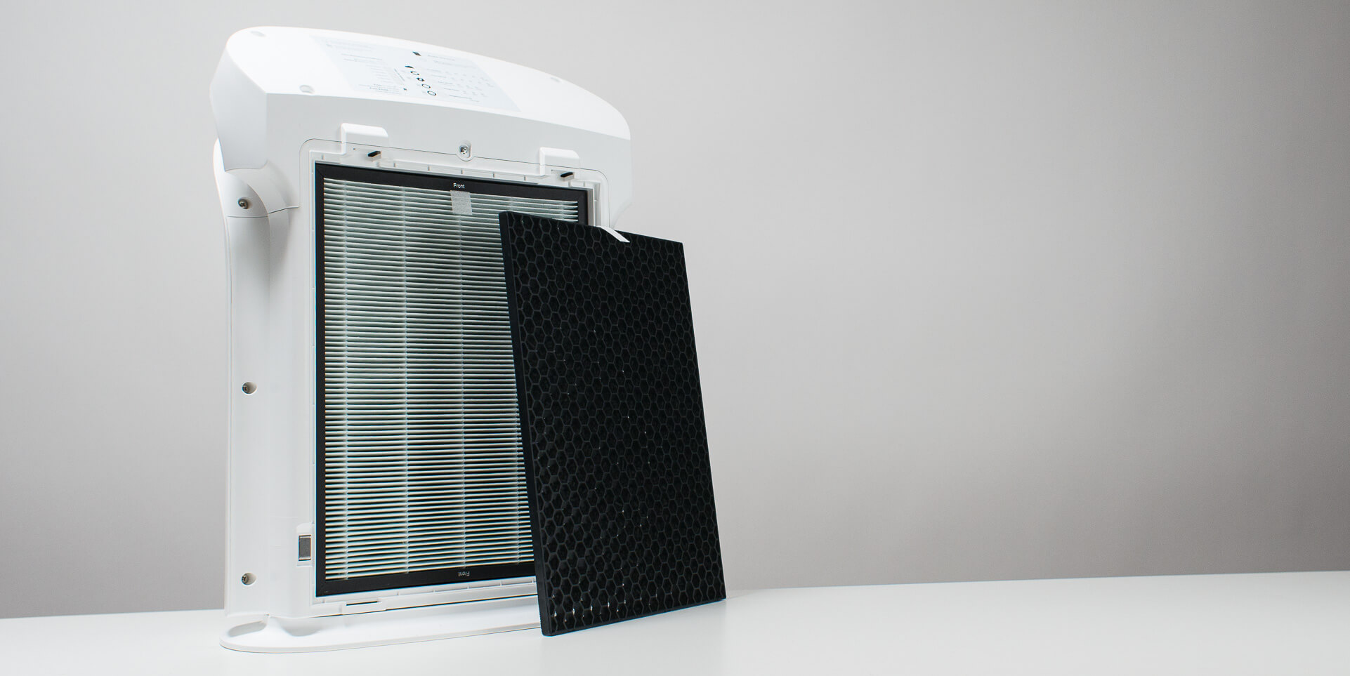 Rabbit Air BioGS 2.0 Review | Worth the Cost?